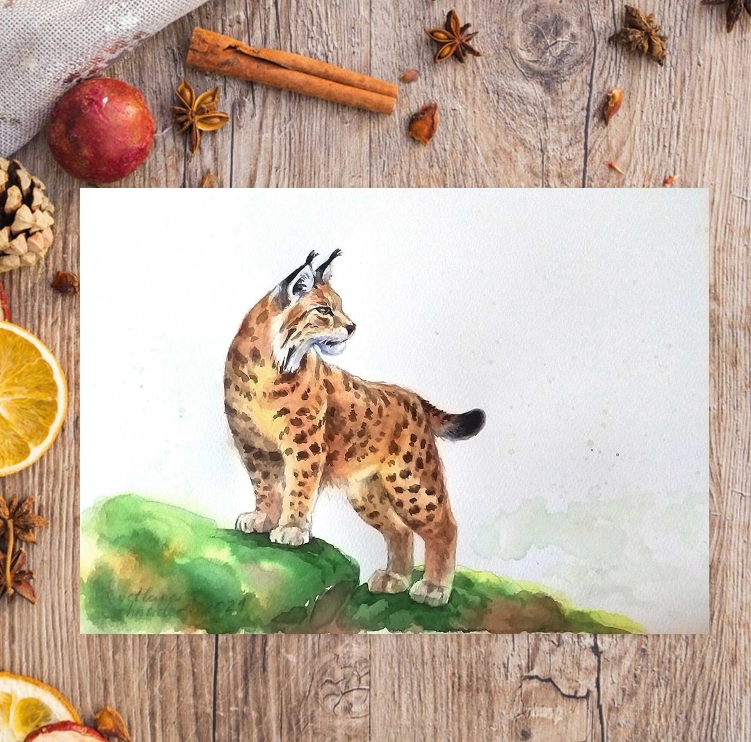 Lynx Painting Bobcat Original Watercolor Art Big Cat Wall Art 8by12 ...