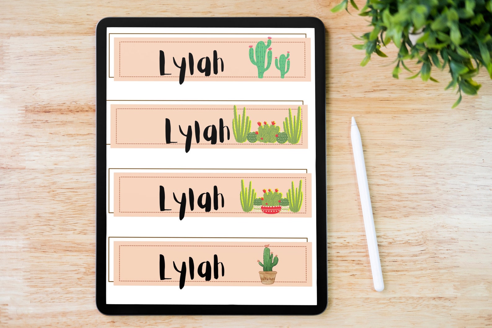 4 Cactus Student Name Tags, Student Desk Label, Desk Name Tag Student ...