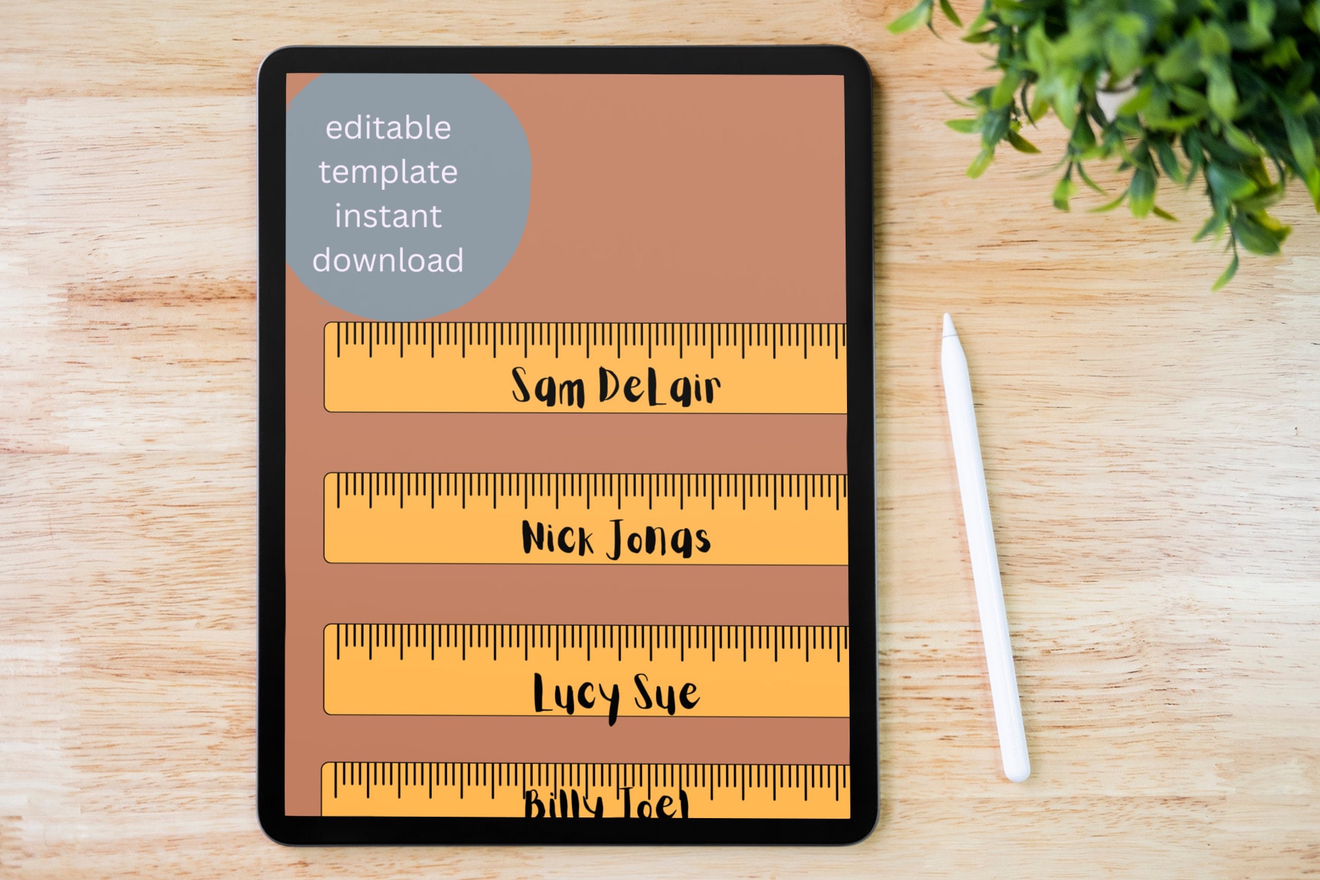 Student Name Tags for Desk, Student Desk Name Tags, Desk Name Tag for ...