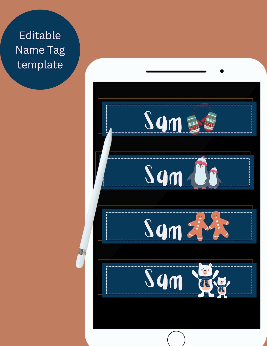 4 Editable Winter Desk Name Tag for Student, Desk Name Tag Student ...