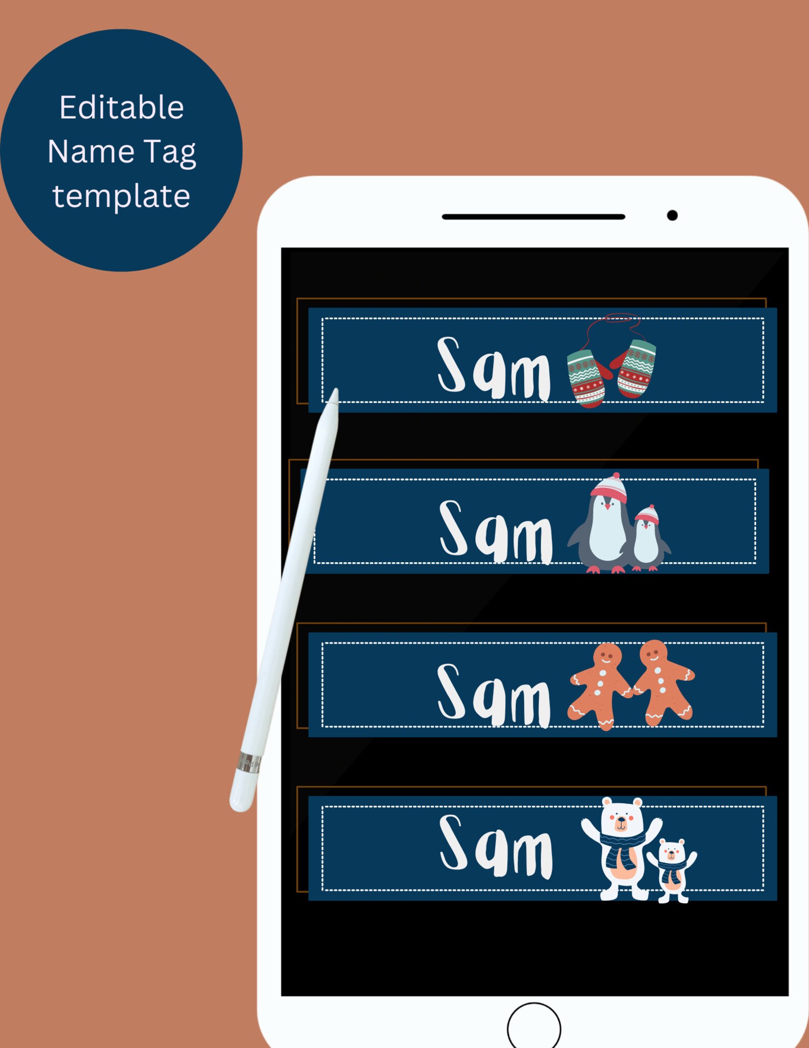 4 Editable Winter Desk Name Tag for Student, Desk Name Tag Student ...