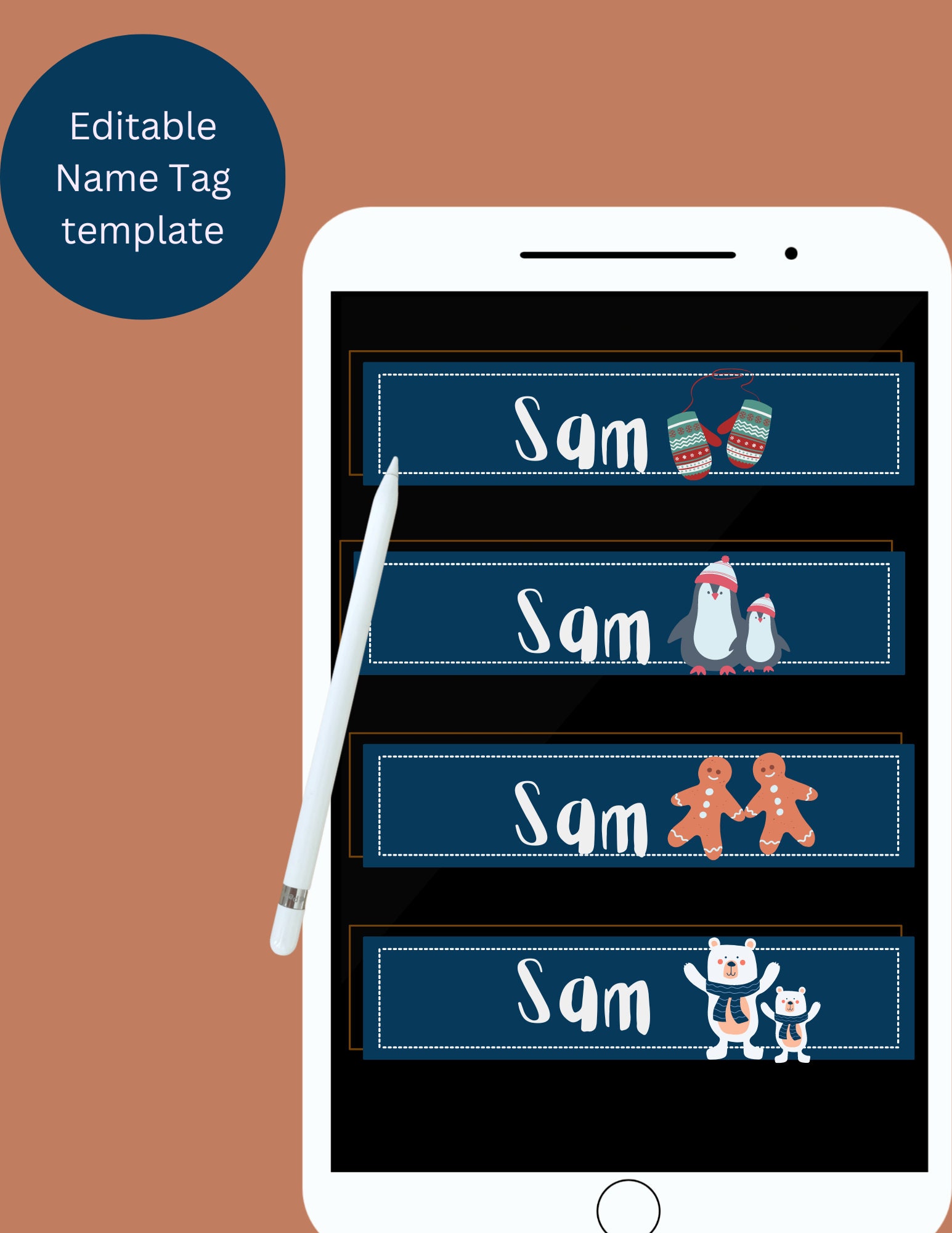 4 Editable Winter Desk Name Tag for Student, Desk Name Tag Student ...