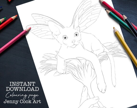 Fairy Devon Rex Cat colouring page instant printable download | Etsy