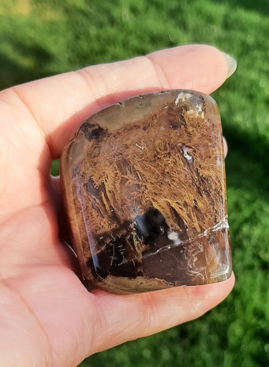 Oregon Thunder Egg - Richardson Ranch Thunder Egg - Thunder Egg Slab ...