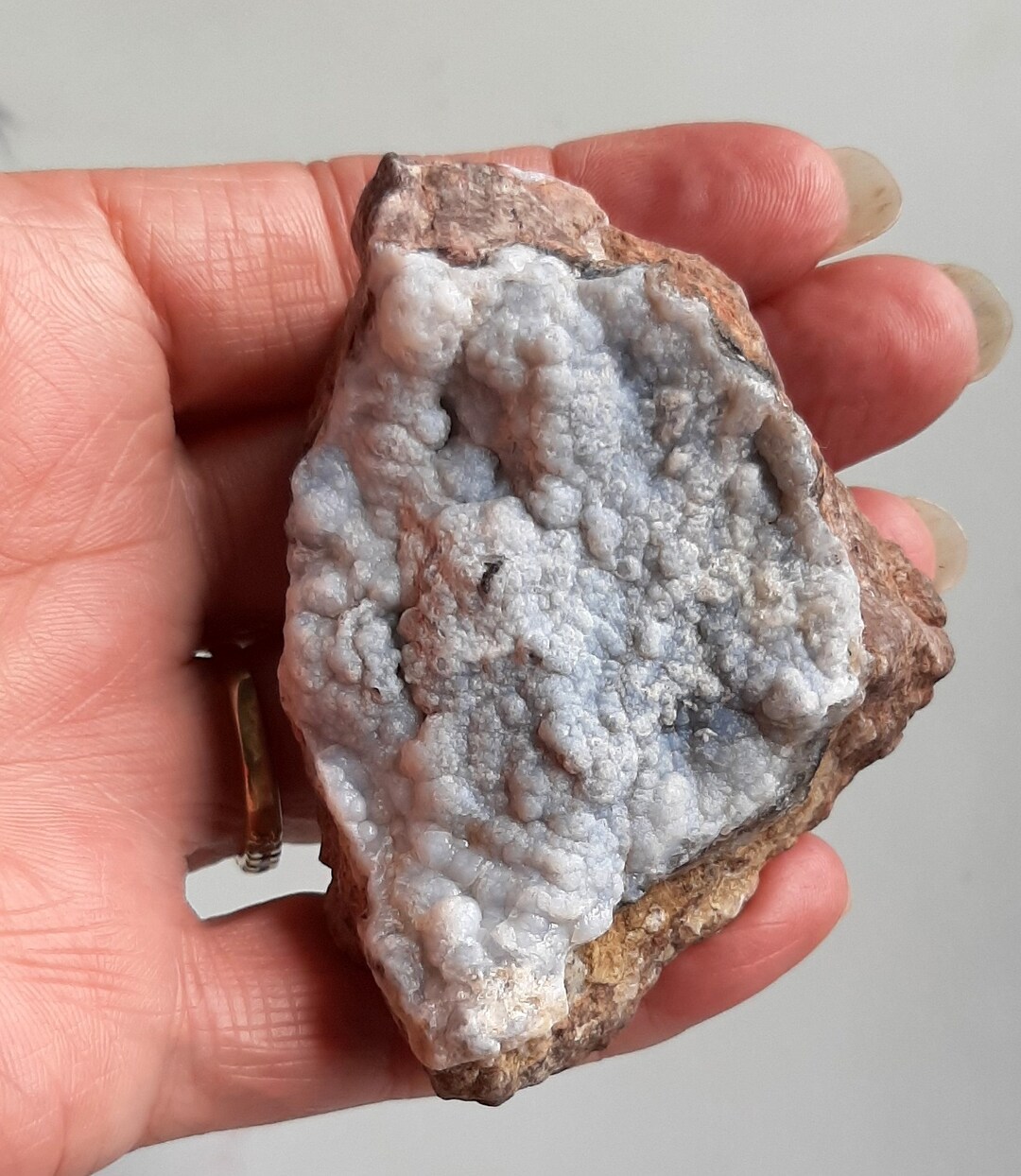 Oregon Thunder Egg - Crane Creek Thunder Egg - Blue Agate Botryoidal ...