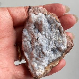 Oregon Thunder Egg - Crane Creek Thunder Egg - Blue Agate Botryoidal ...