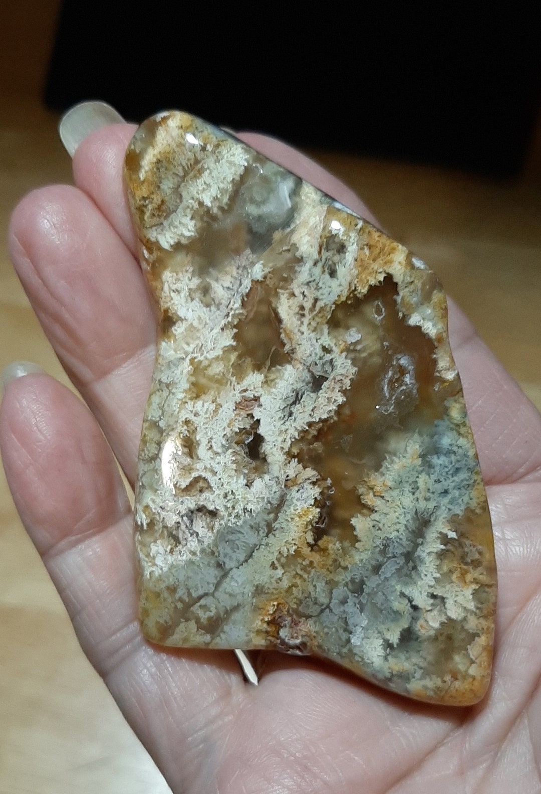 Graveyard Point Agates Graveyard Point Plume Agate - Etsy