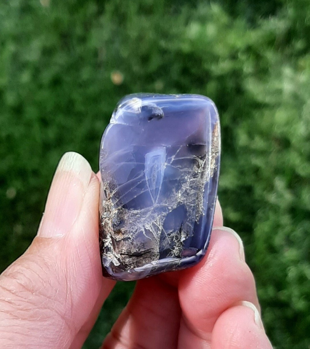 Polished Holly Blue Agate Sweet Home Oregon Holly Blue Agate - Etsy