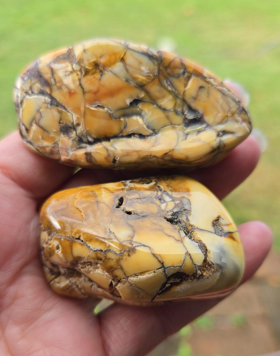 Yellow-jack Jasper - Hart Mountain Oregon - Tumbled Rocks - Polished ...