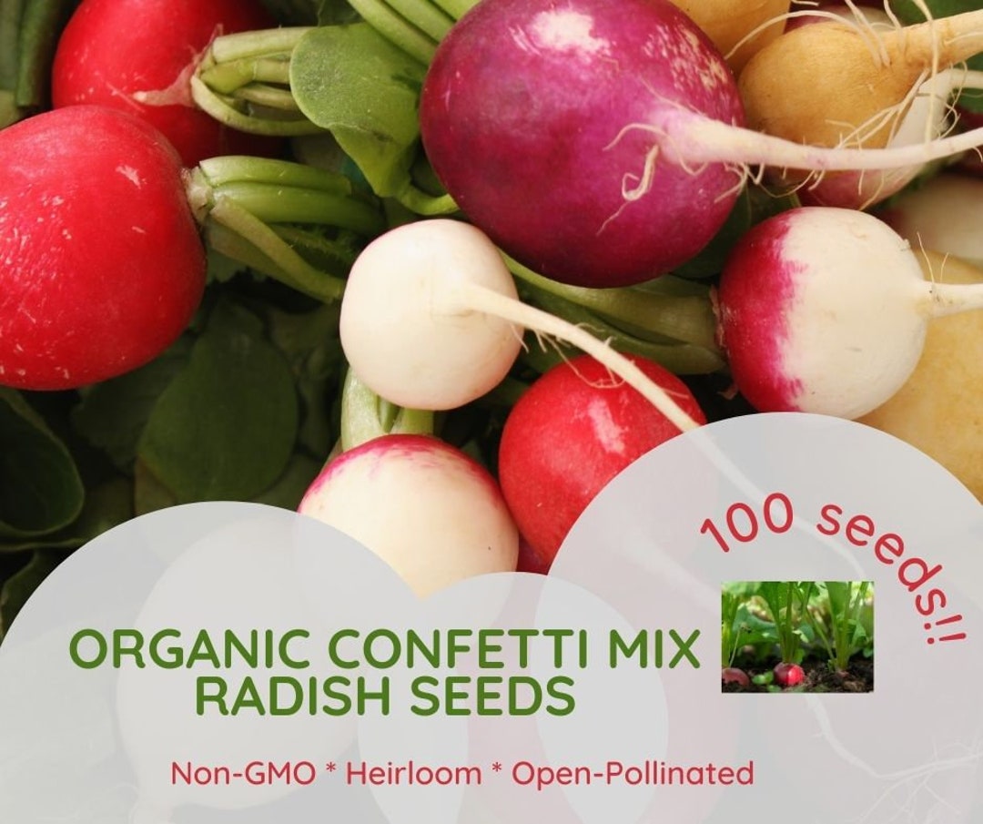 75 Organic Confetti Mix Radish Seeds -- Heirloom -- Non-gmo - Etsy