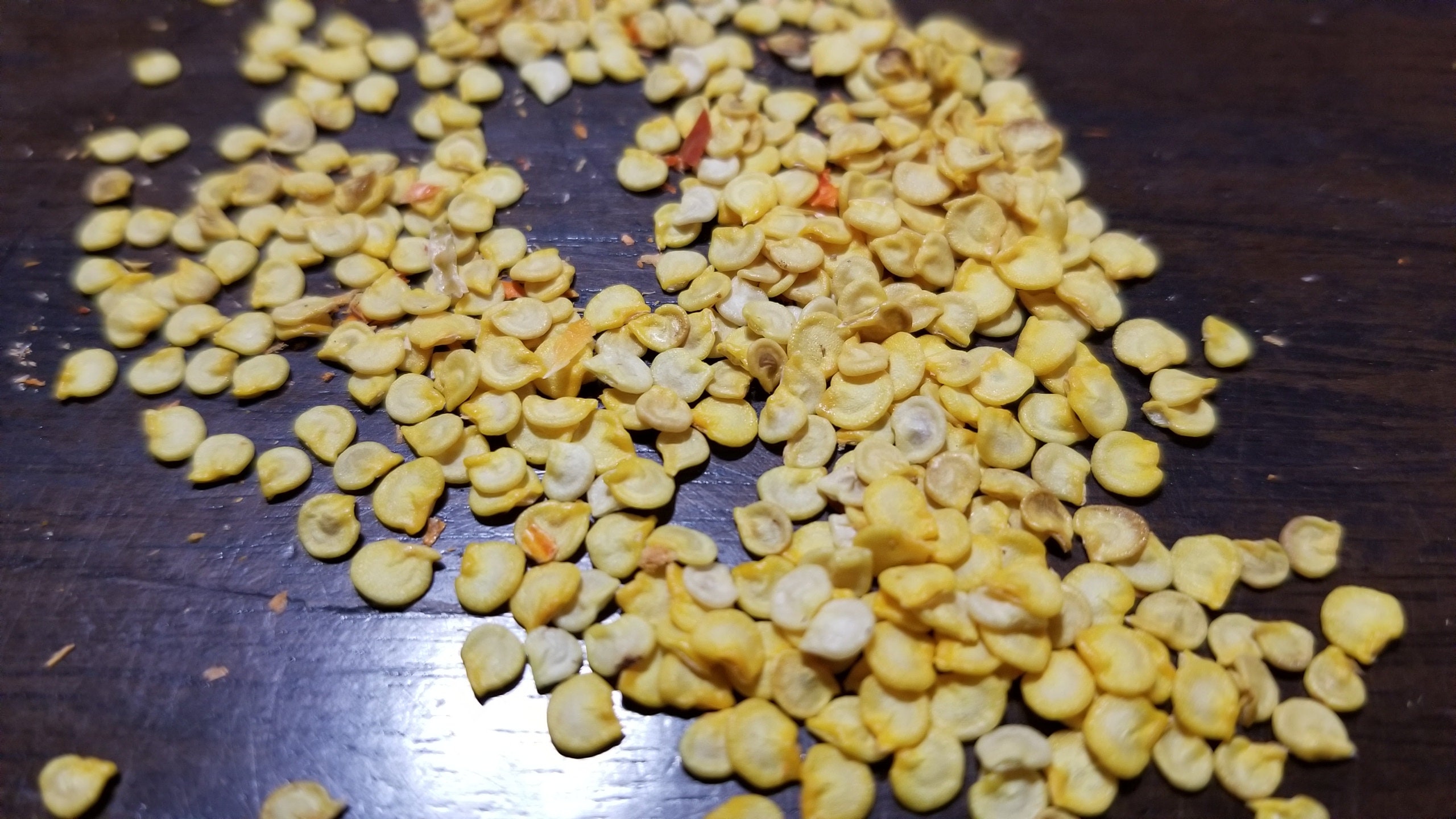 GMO-FREE Heirloom Shishito Pepper Seeds Open-pollinated - Etsy