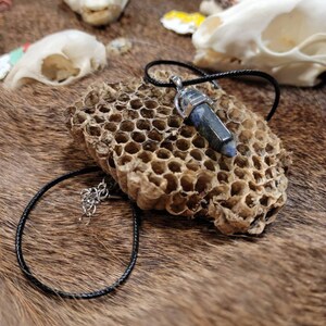 Guarunteed Bones Spooky Mystery Box, Oddity Mystery Box, Gothic Mystery ...