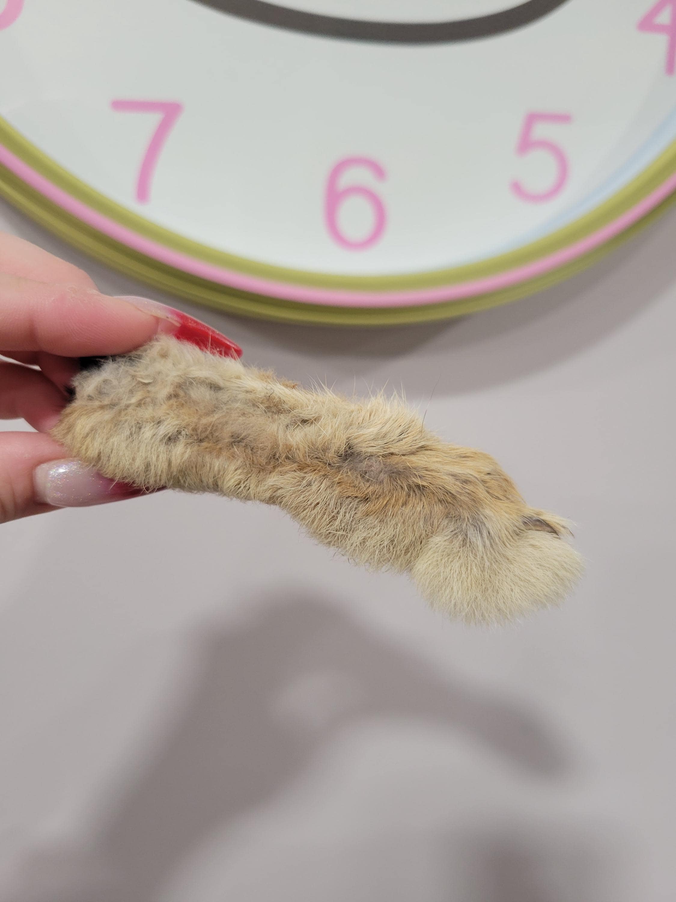 Lucky Rabbit Foot Charm: Ethically Sourced, Craft Ready - Etsy