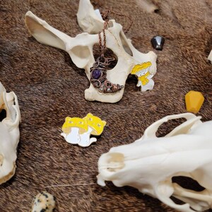 Guarunteed Bones Spooky Mystery Box, Oddity Mystery Box, Gothic Mystery ...