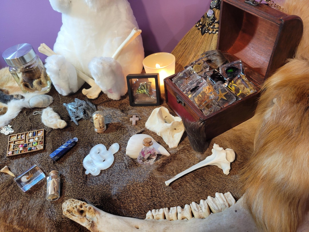 Guarunteed Wet Specimen Mystery Box, Oddity Mystery Box, Gothic Mystery ...