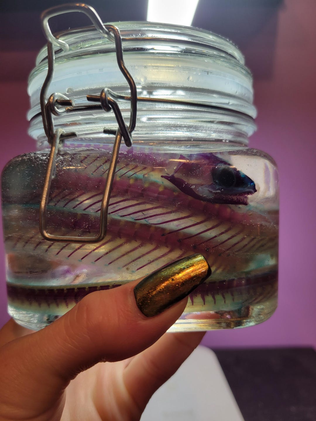 Diaphonized Snake Wet Specimen in Glass Jar, Oddity Collection, Creepy ...