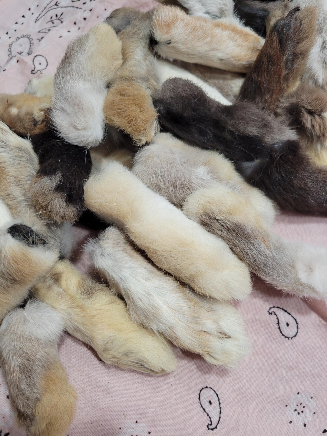 Lucky Rabbit Foot Charm: Ethically Sourced, Craft Ready - Etsy