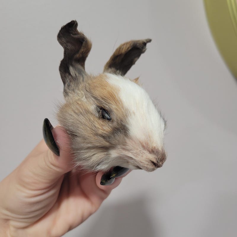 Bunny Head - Etsy