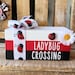 Love Bug Decor / Ladybugs / Ladybug Tier Tray Decor / Summer / Ladybugs ...