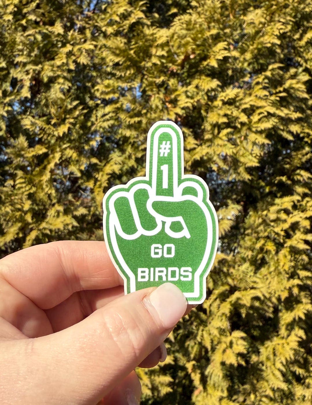 Go Birds #1 Foam Hand Middle Finger Philadelphia Eagles Sticker for ...