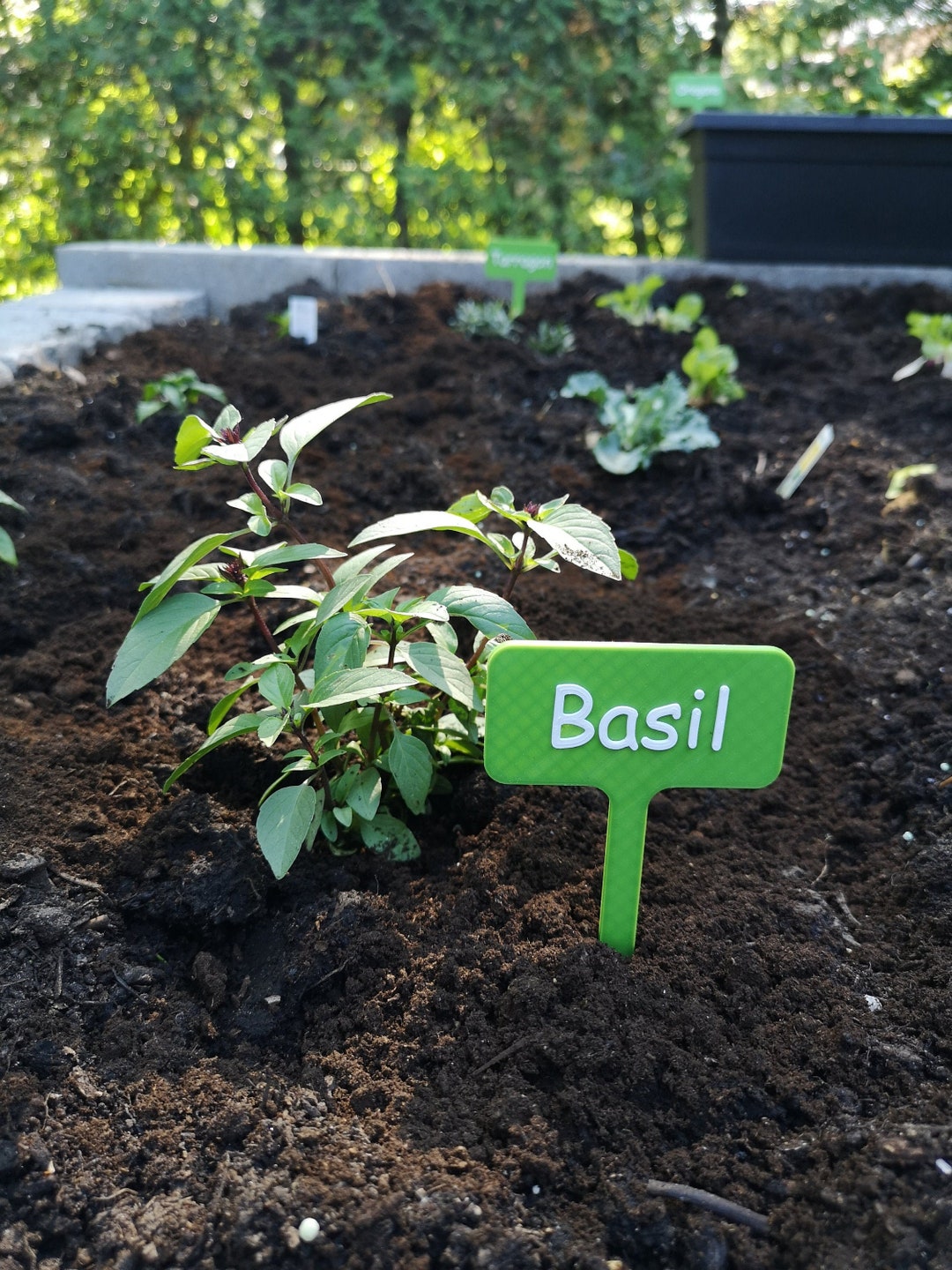 Elegant 3D Printed Plant Tags: Personalize Your Garden Oasis - Free ...