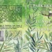 Custom Book Cover Design Paperback Any Size - Etsy