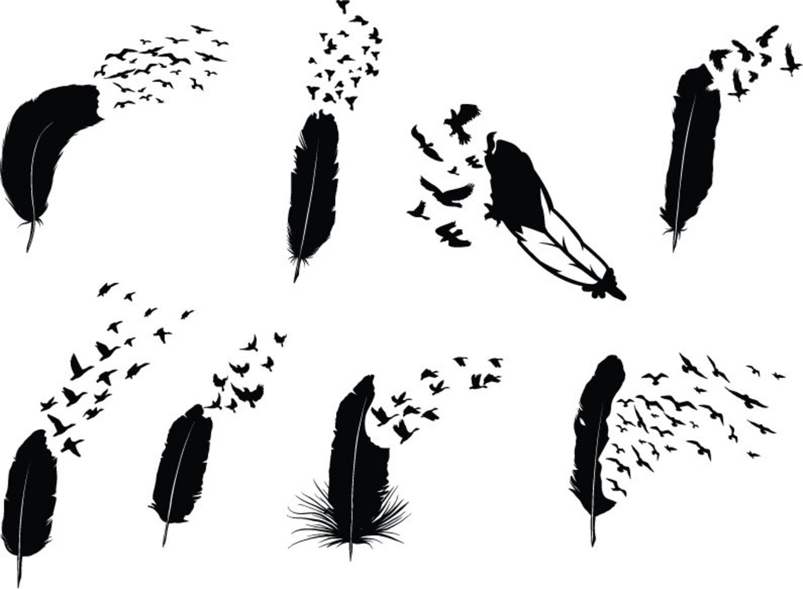 LOT DE 48 PLUMES SVG. Svg de paon oiseaux plume svg. Plume Png ...
