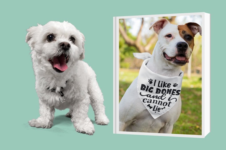 FUNNY DOG SVG Funny Svg Dog Sayings Svg Dog Mom Svg - Etsy