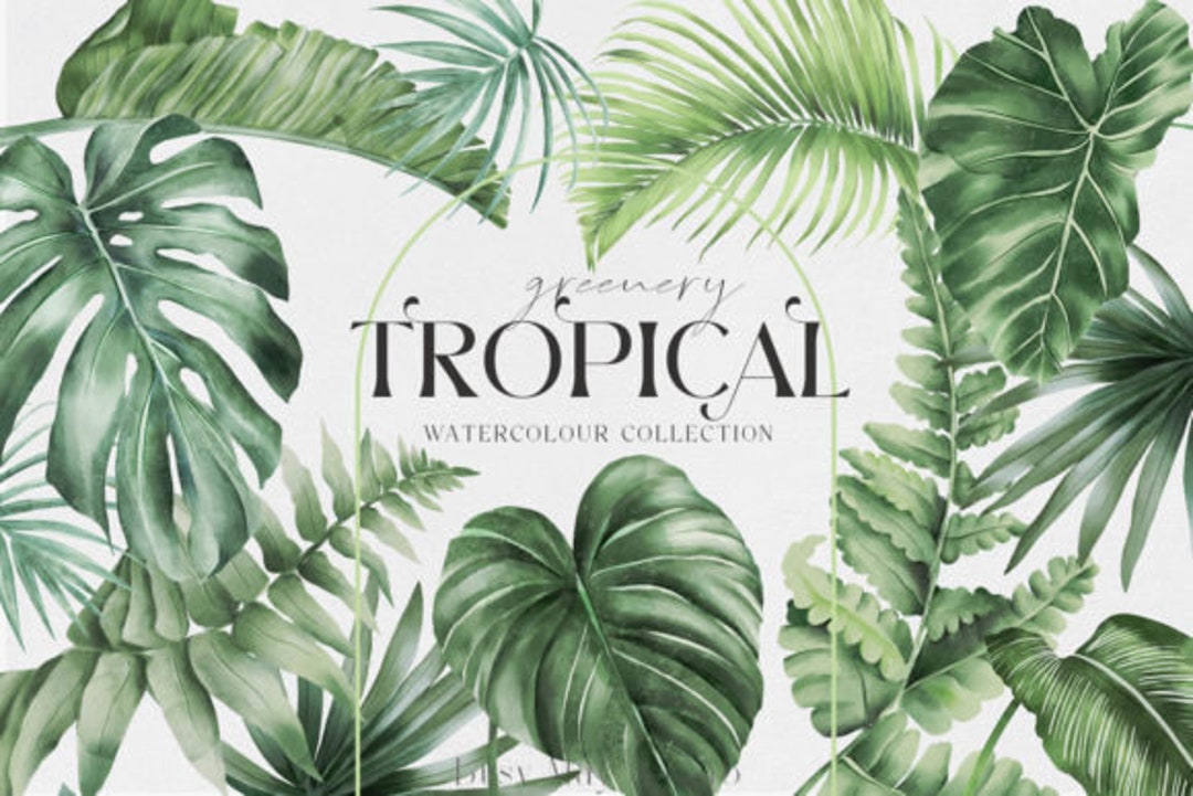 Watercolor Tropical Leaves Clipart, Tropical Leaf PNG Clip Art Graphics ...