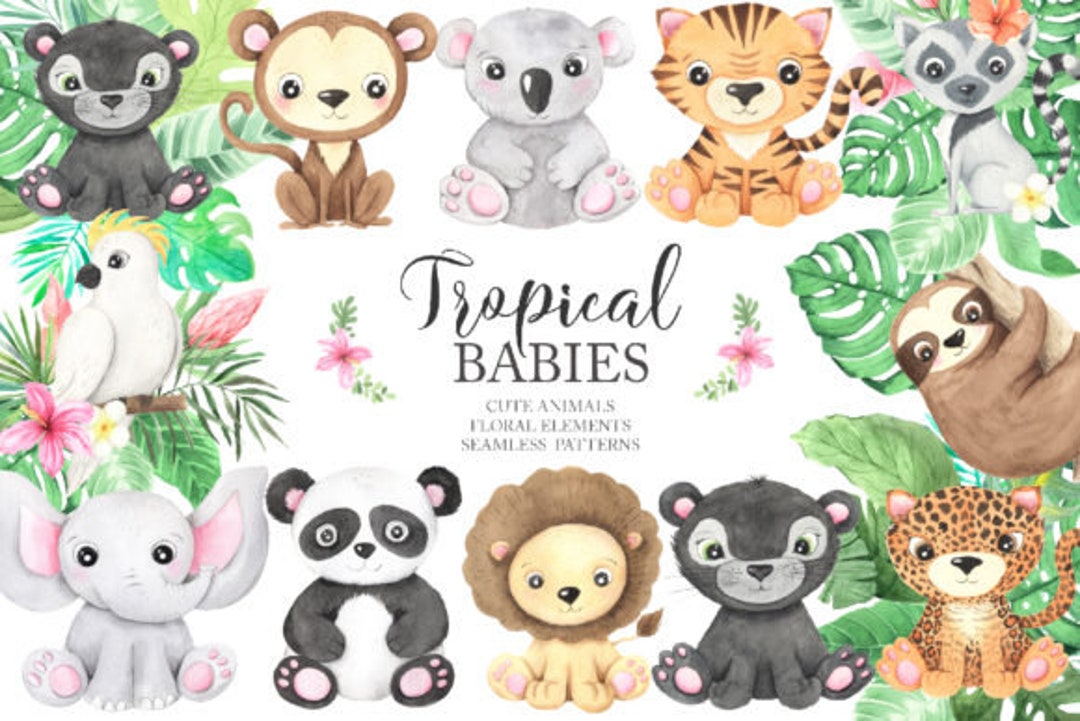 Cute Safari Baby Animals Watercolor Clipart Tropical Leaves, Tropical ...