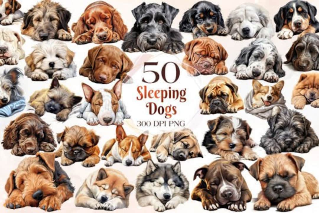 Dogs Watercolor Clipart ,digital Download, Clipart for Commercial Use ...