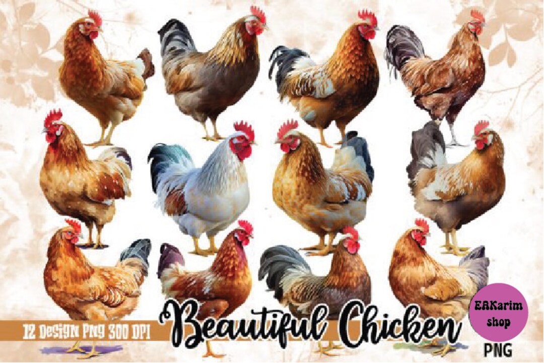 Watercolor Chicken Clipart - Cute Chickens Png Bundle, Farm Animal PNG ...