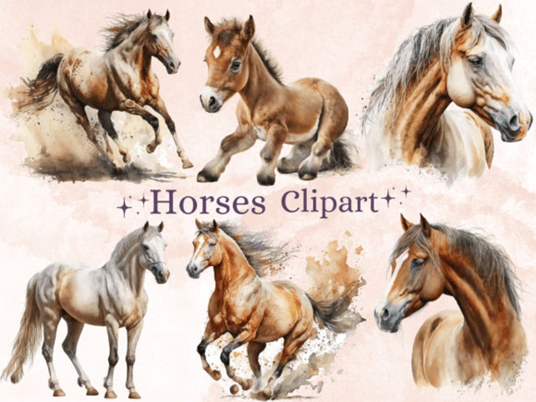 Horses Clipart, PNG, Watercolor Horse Clipart Bundle, Animal Clipart ...
