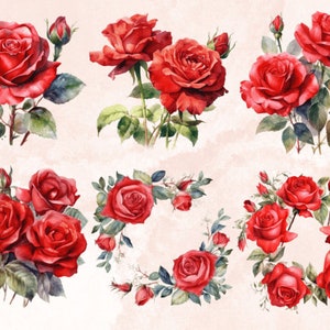 Watercolor Pretty Red Roses Clipart: High DPI, Print-ready Red Rose ...