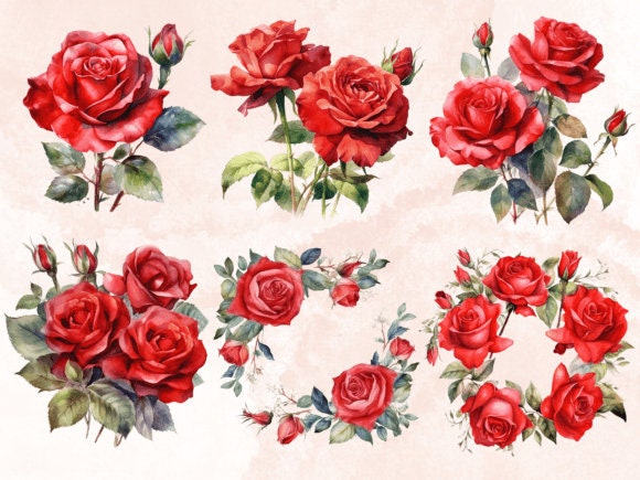 Watercolor Pretty Red Roses Clipart: High DPI, Print-ready Red Rose ...