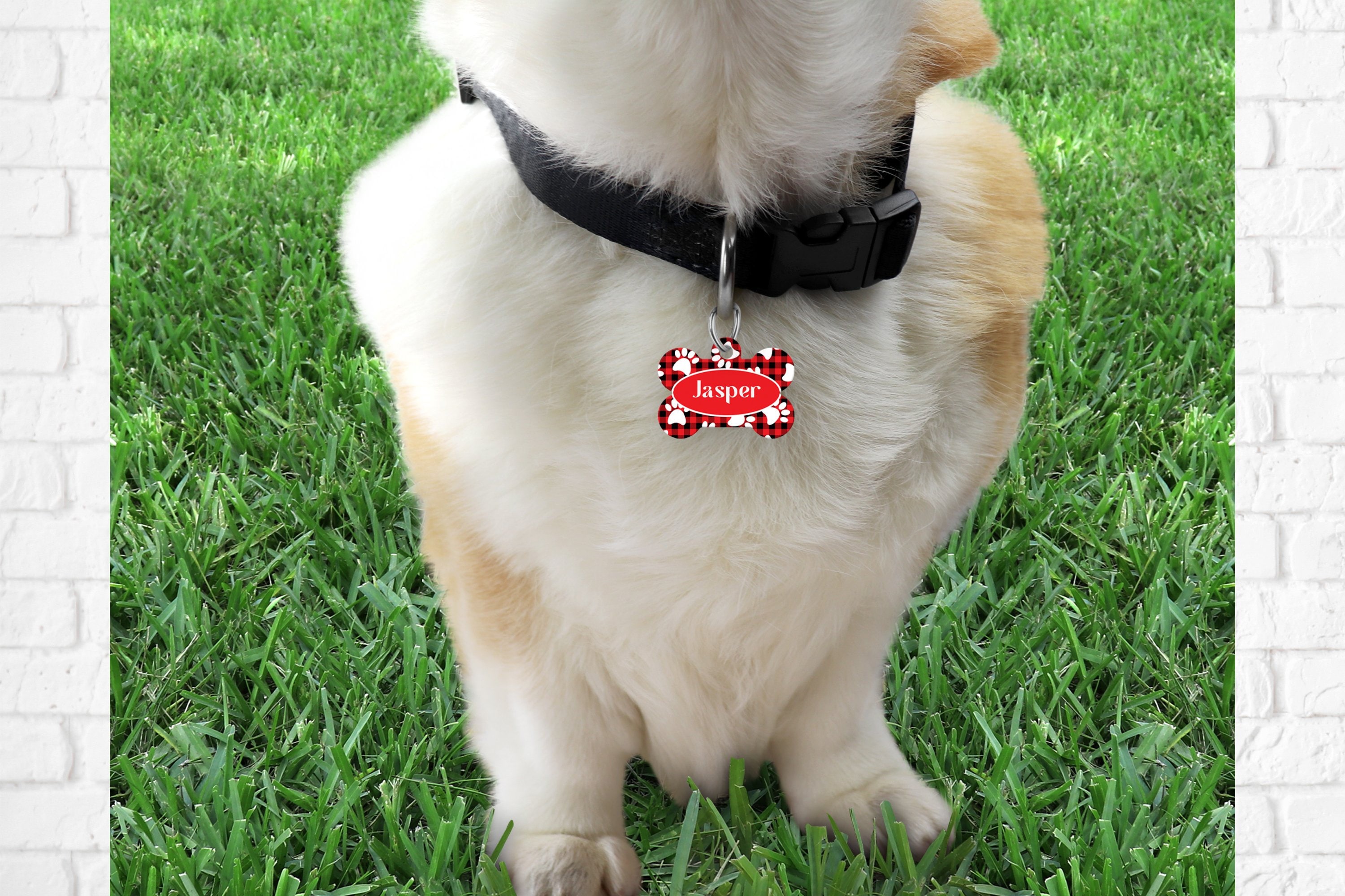Dog Tag Svg, Dog Tags Svg Template, Dog Tag Vector, Xtool Files, Dog ...