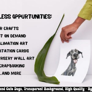 Funny and Cute Dog Clipart Bundle, Dogs PNG, Watercolor Puppy Graphics ...