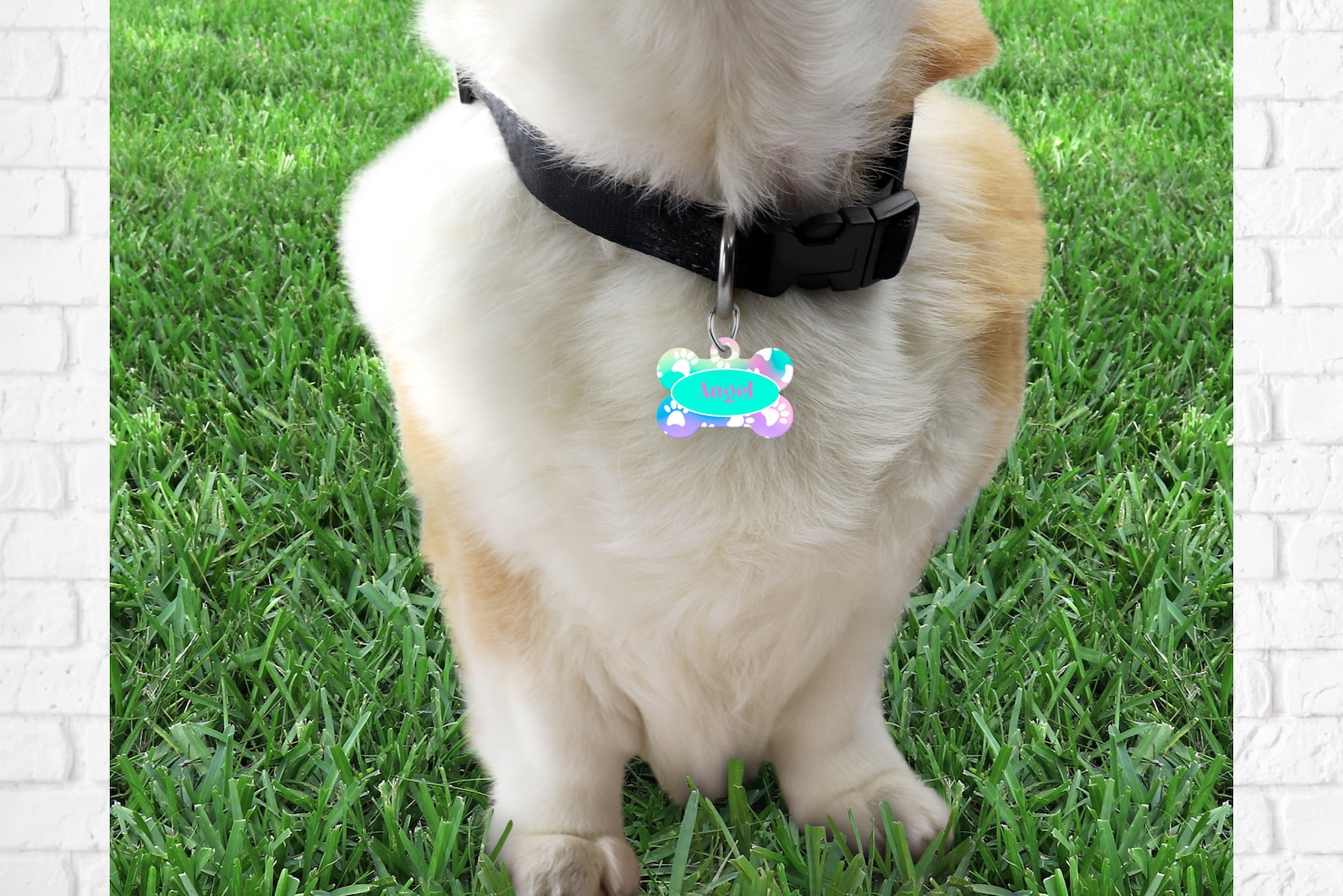 Dog Tag Svg, Dog Tags Svg Template, Dog Tag Vector, Xtool Files, Dog ...