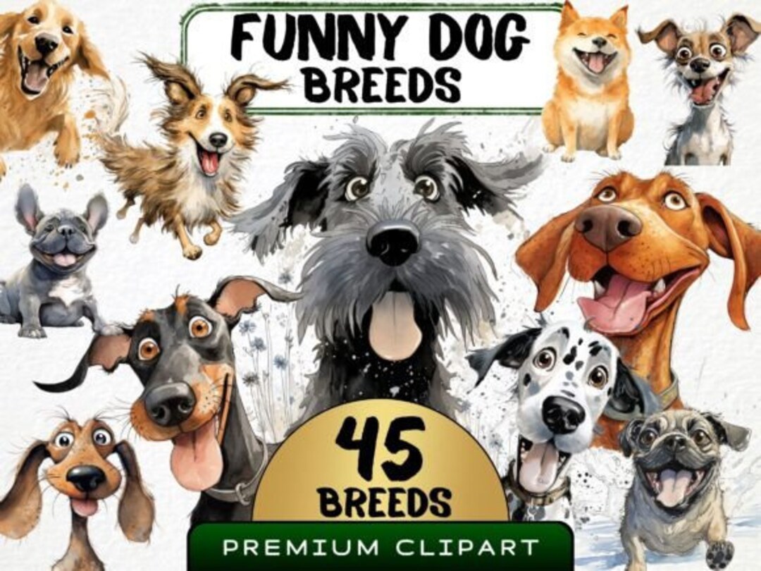 Funny and Cute Dog Clipart Bundle, Dogs PNG, Watercolor Puppy Graphics ...