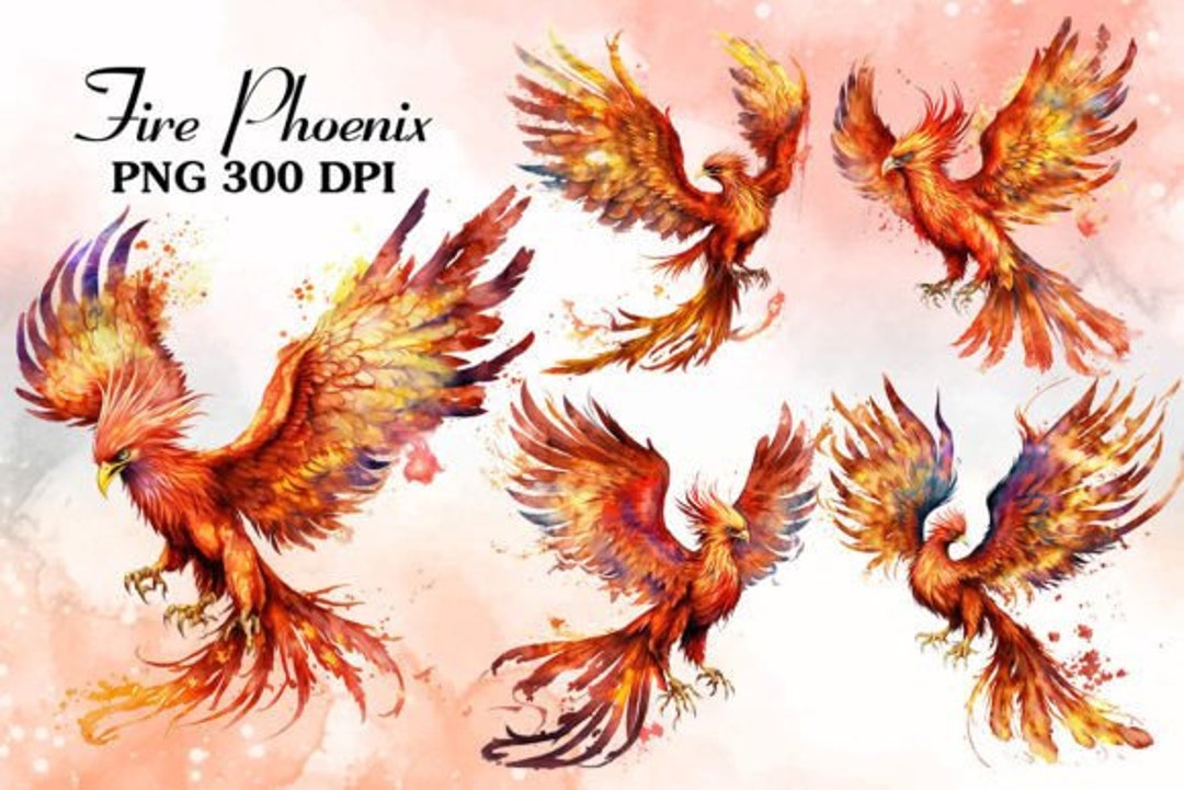 Phoenix Watercolor, Digital Downloads, Phoenix Clipart, Phoenix PNG ...