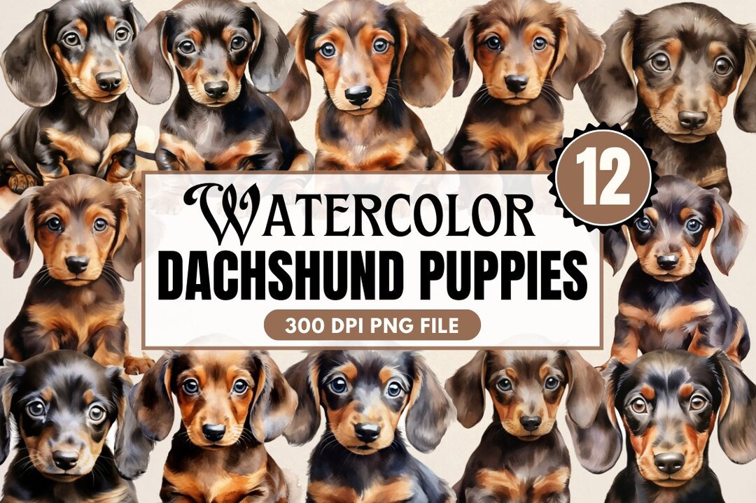 DACHSHUND PUPIES Clipart , High Quality, Watercolor, Dachshund Breed ...