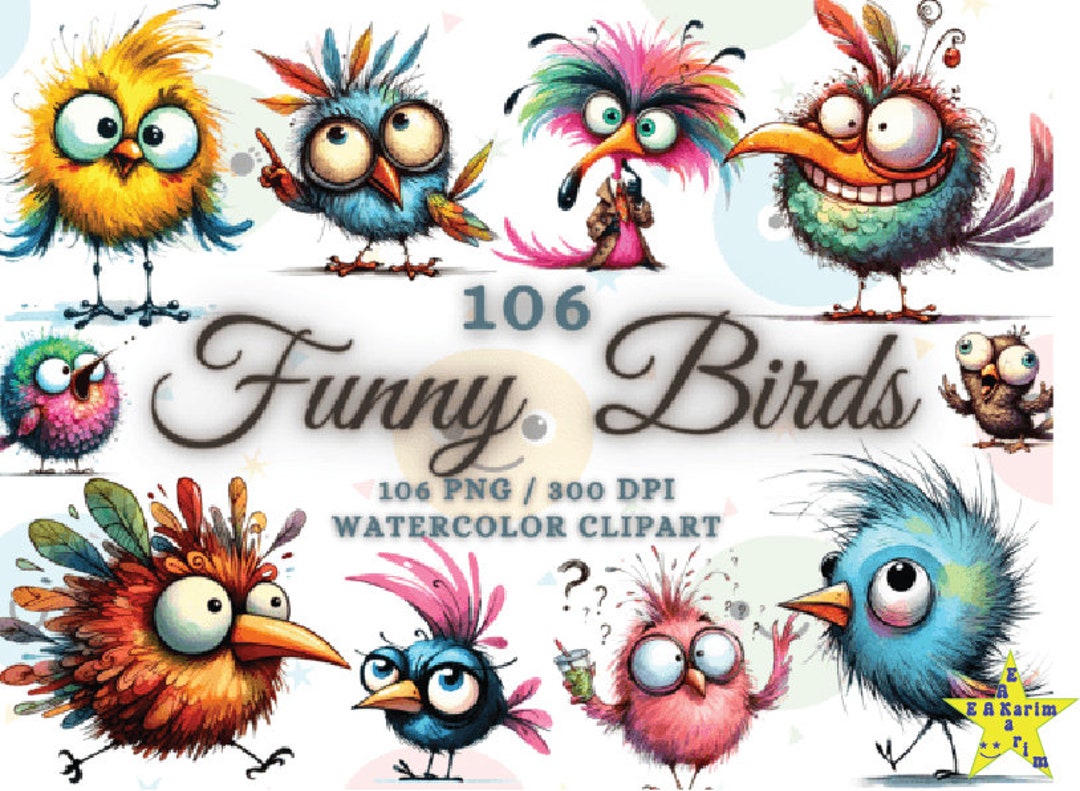 FUNNY BIRDS Clipart Bundle, Funny Cute Bird Png Bundle, Watercolor ...