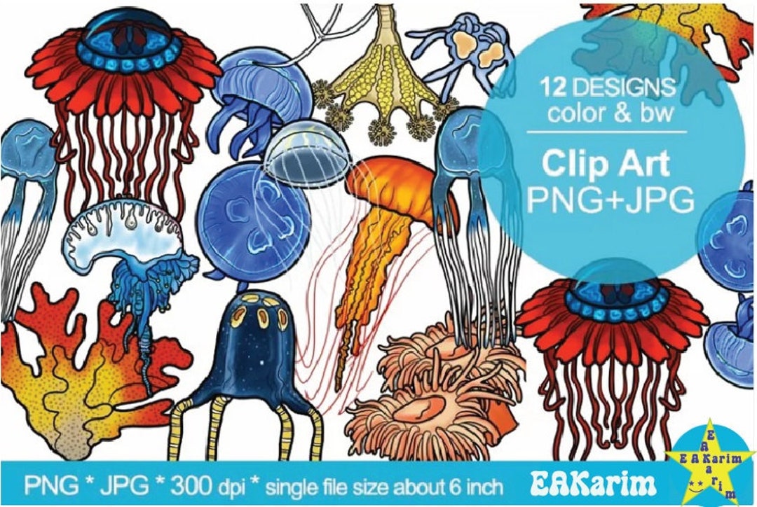 Watercolor Jellyfish Clipart Bundle | Sea Clipart | 12 High Quality ...