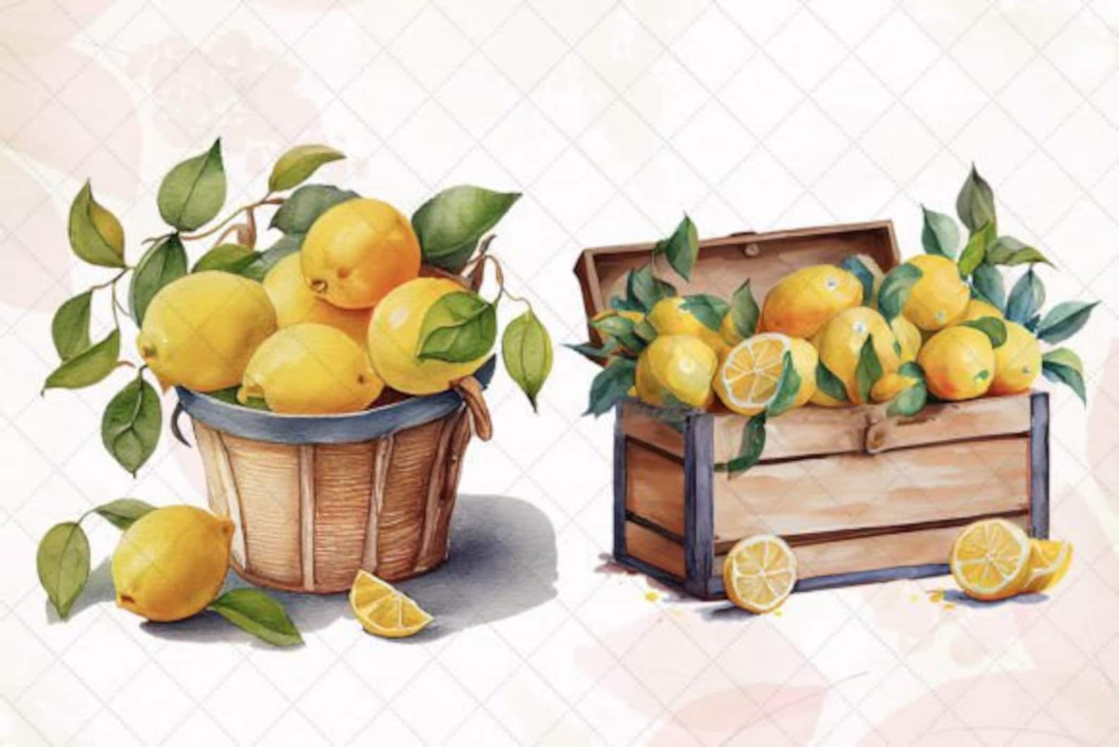 Lemons Watercolor Clipart Bundle PNG Images of Refreshing Summer Lemon ...