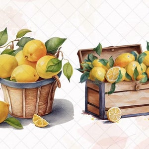 Lemons Watercolor Clipart Bundle - PNG Images of Refreshing Summer ...