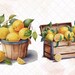 Lemons Watercolor Clipart Bundle - PNG Images of Refreshing Summer ...