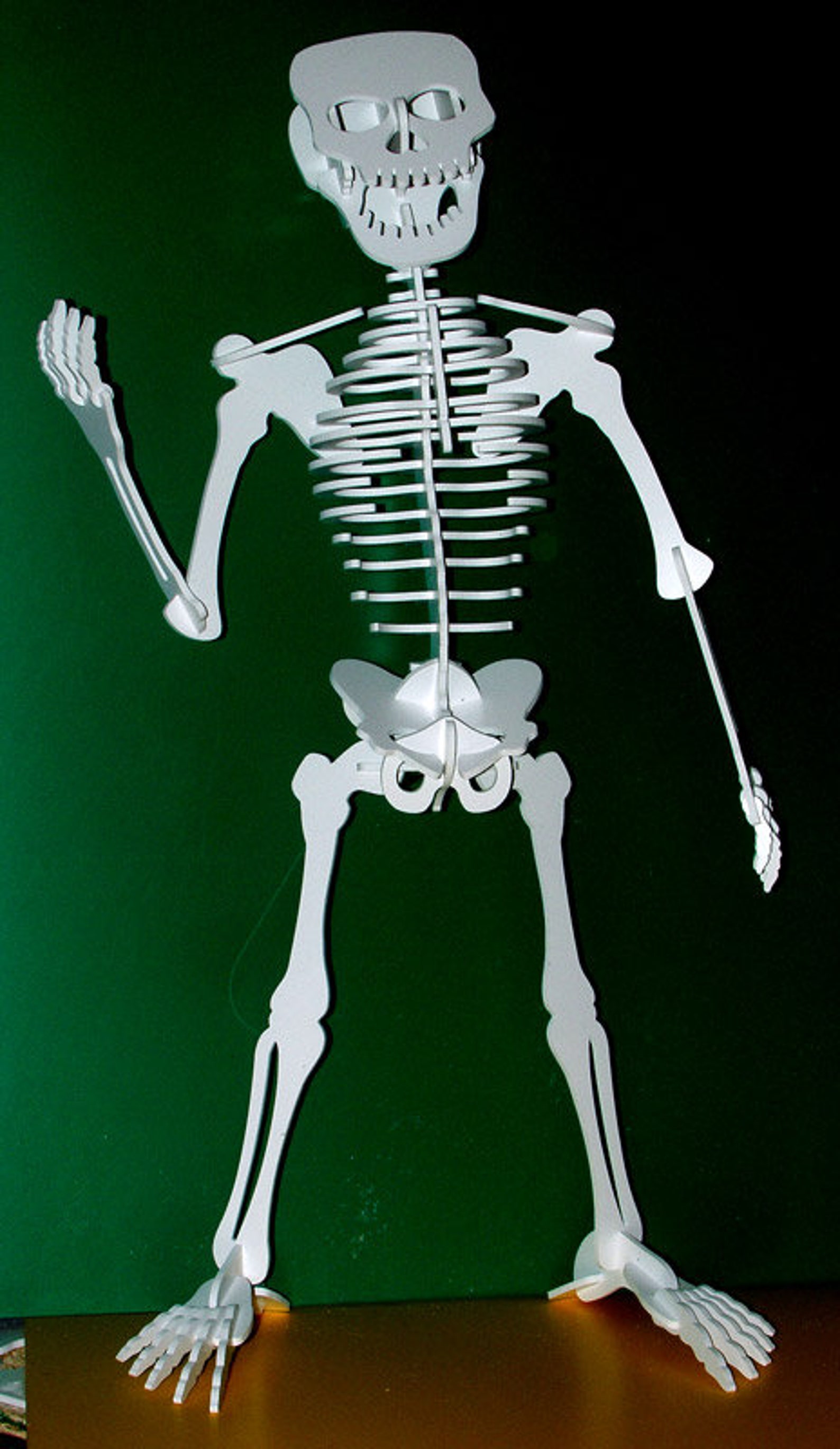 Build Your Own Skeleton Laser Cut Digital File | Cute Halloween DIY ...