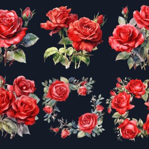 Watercolor Pretty Red Roses Clipart: High DPI, Print-ready Red Rose ...