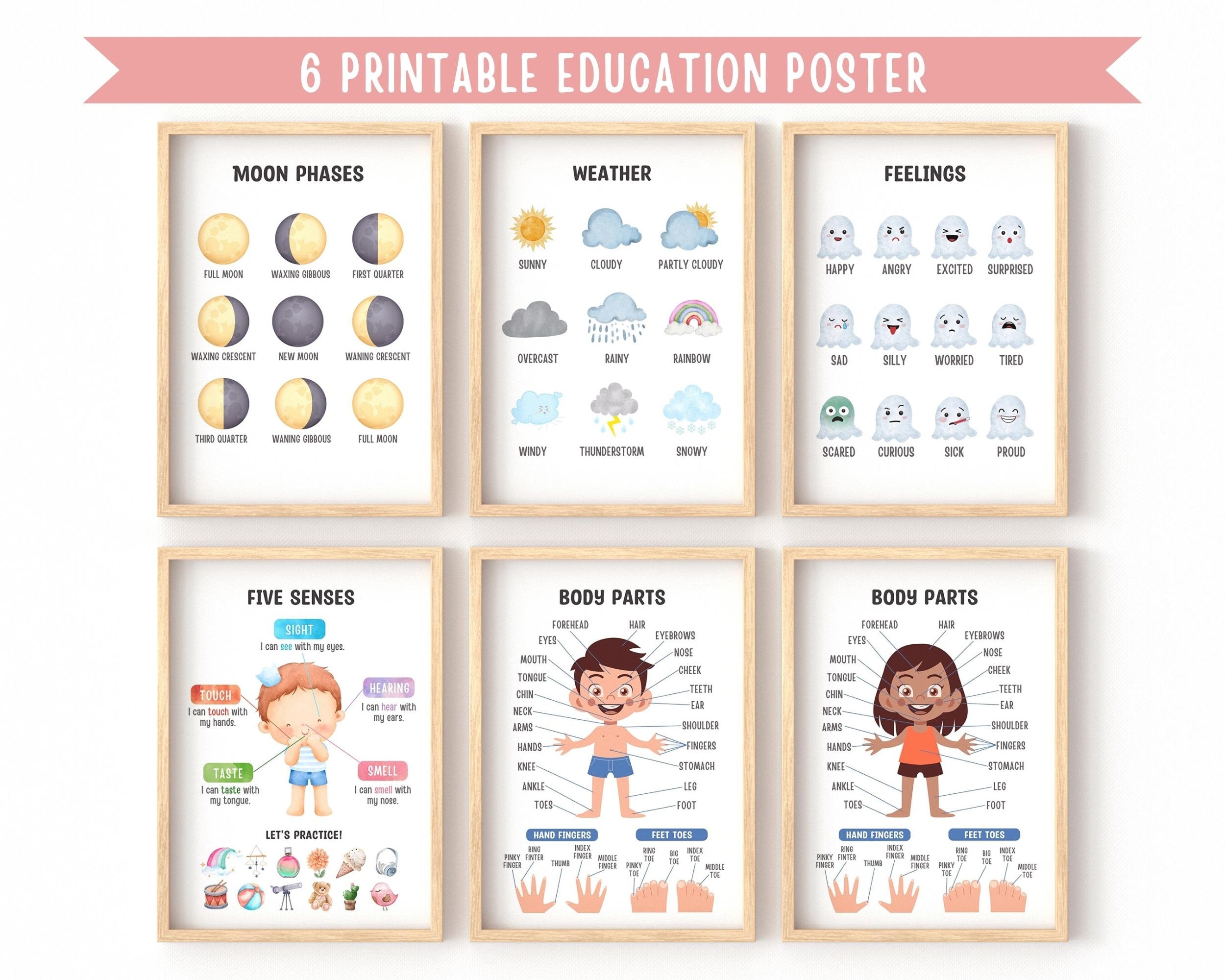 Educational Posters, Classroom Posters, Homeschool Printables Wall Art ...