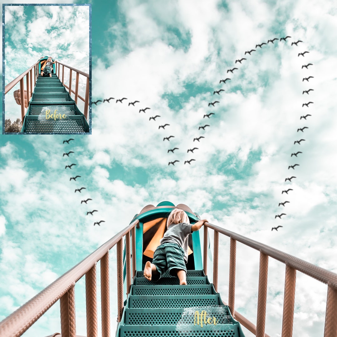 Photoshop Bird Brushes, Bird Brushes, Photoshop Birds, Filters ...